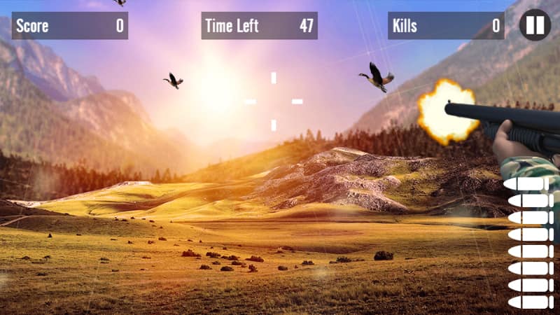 Duck Hunter - Free Play & No Download | FunnyGames