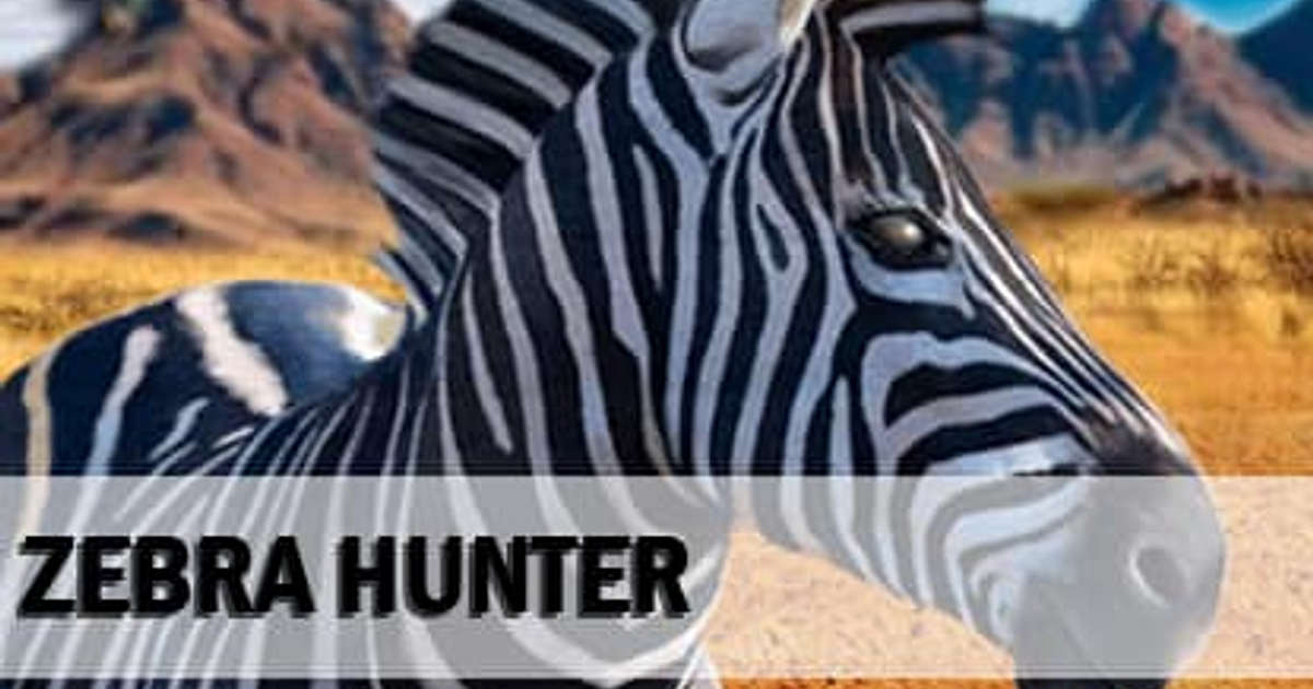 Zebra Hunter - Free Play & No Download | FunnyGames